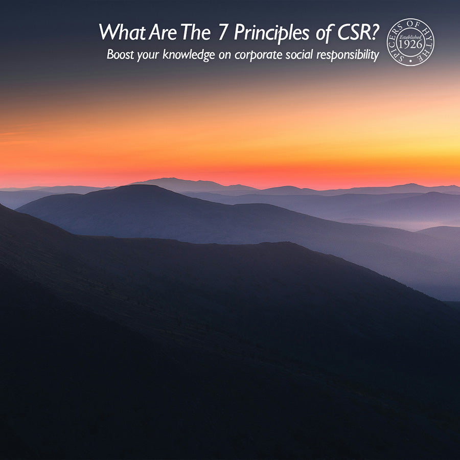 What Are The 7 Principles Of Corporate Social Responsibility? – Spicers ...