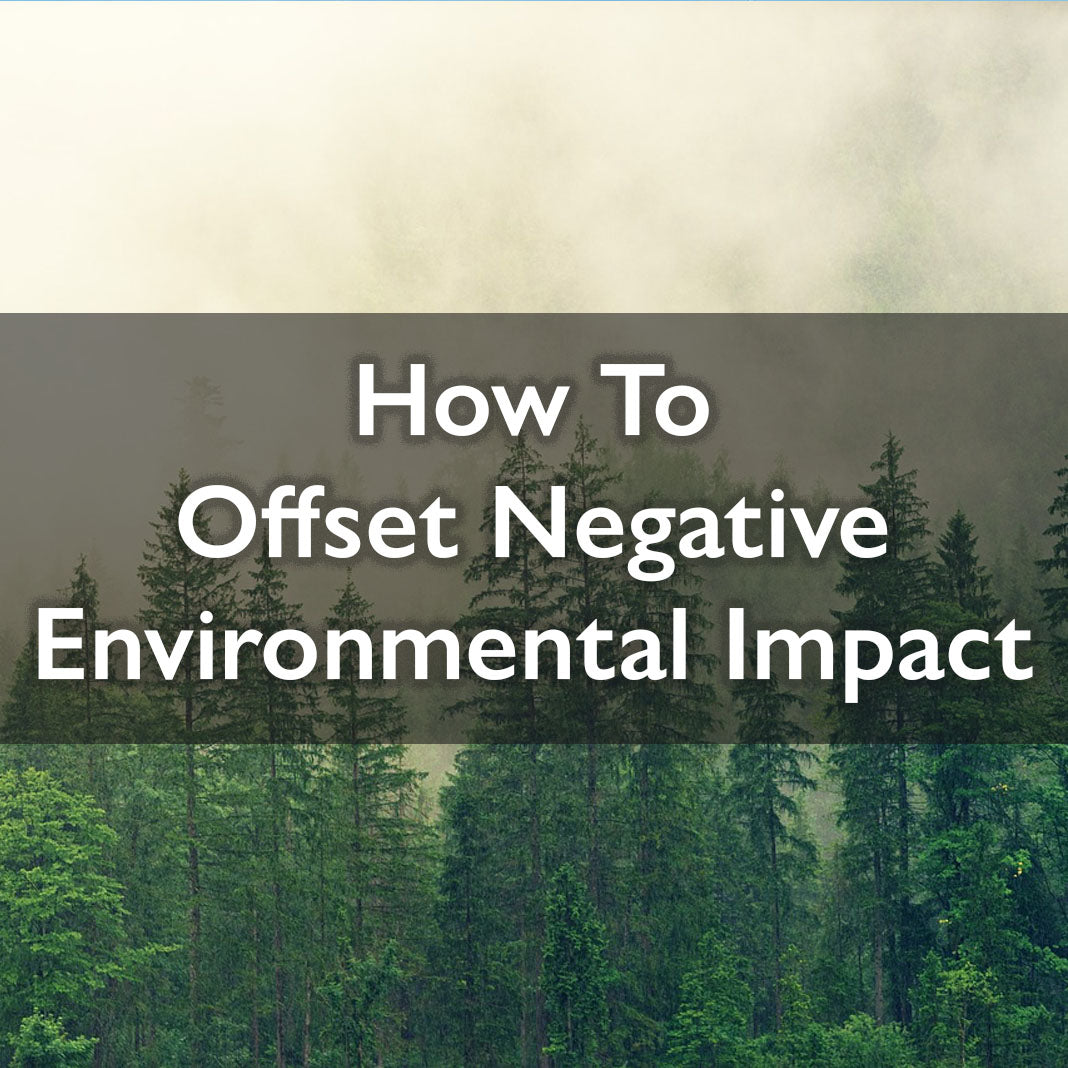 How To Offset Negative Environmental Impact – Spicers of Hythe